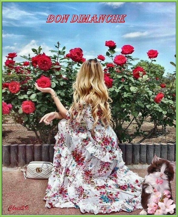 bon dimanche